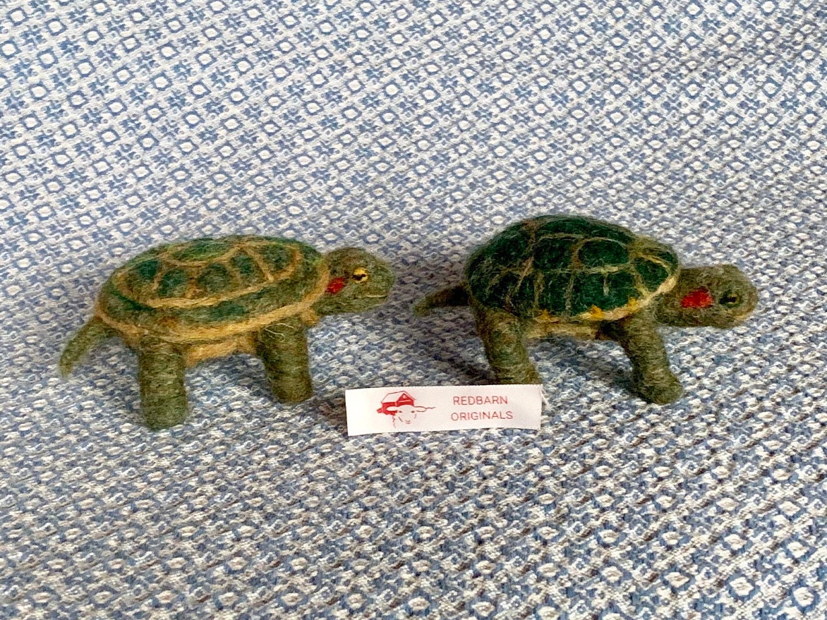 Kit Turtle Needle Felting Kit for 2 Turtles Wool Green and Tan - Etsy
