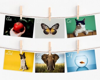 Manuscript Alphabet Photo Flashcards Printable ABC Letter Cards Reading ...