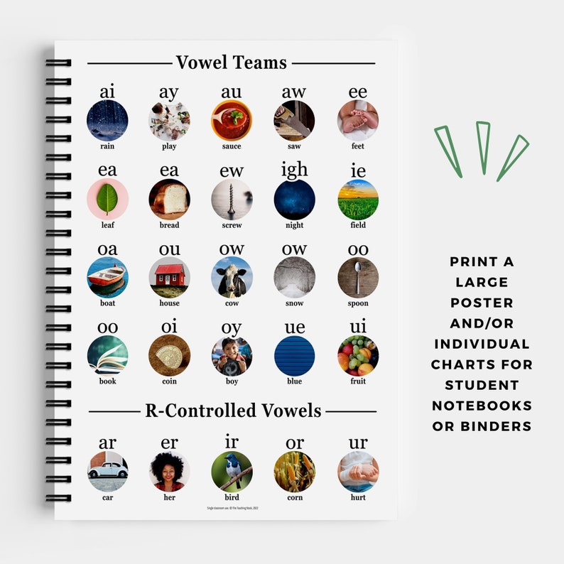 Vowel Teams & R-controlled Vowel Phonics Poster (level 2) | Phonics ...