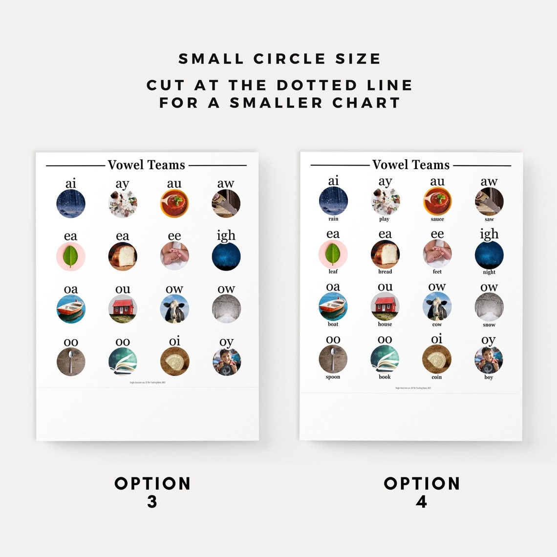 Montessori Vowel Teams Phonics Poster level 1 Minimalist - Etsy