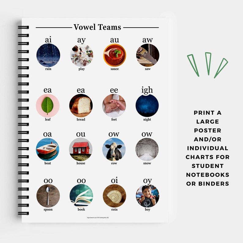 Montessori Vowel Teams Phonics Poster (level 1) | Minimalist Chart ...