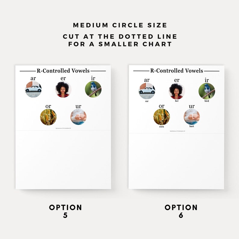 Montessori R-controlled Vowels Phonics Chart (level 2) | Phonics Poster ...