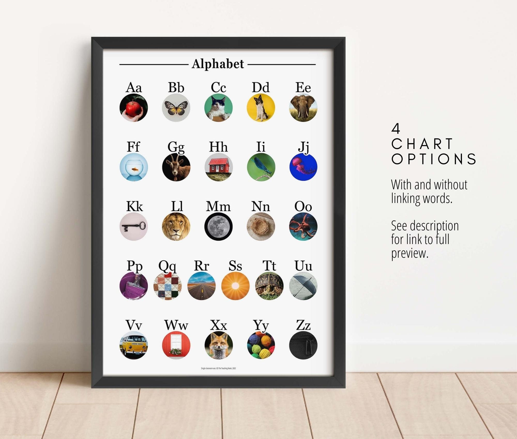 Phonics Chart Pack (alphabet, Digraphs, Blends, Vowel Teams, R ...