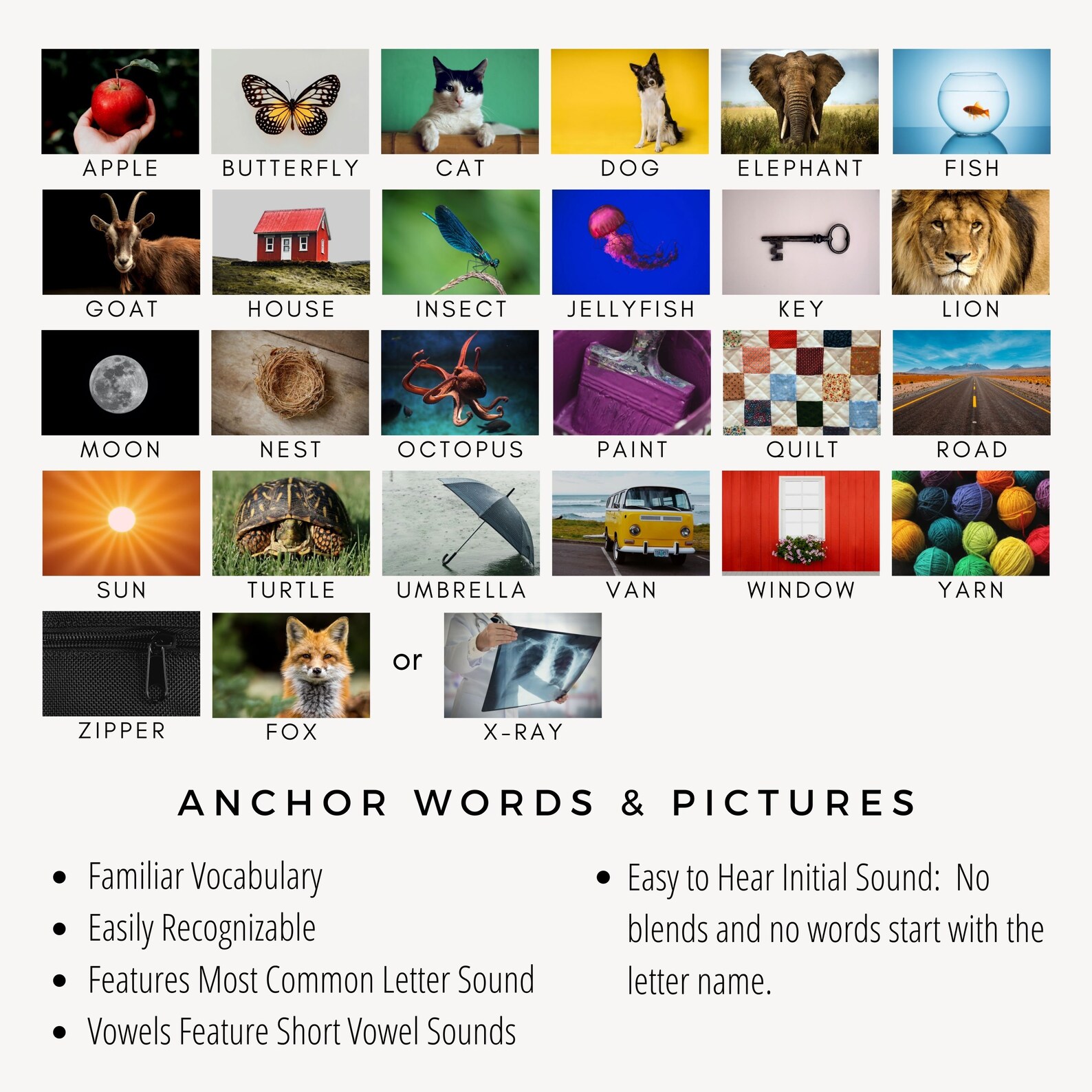 Manuscript Alphabet Photo Flashcards Printable ABC Letter Cards Reading ...