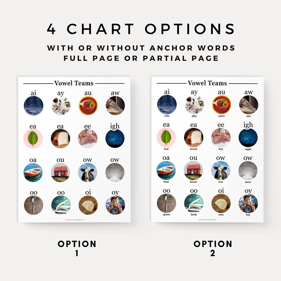 Montessori Vowel Teams Phonics Poster level 1 Minimalist - Etsy