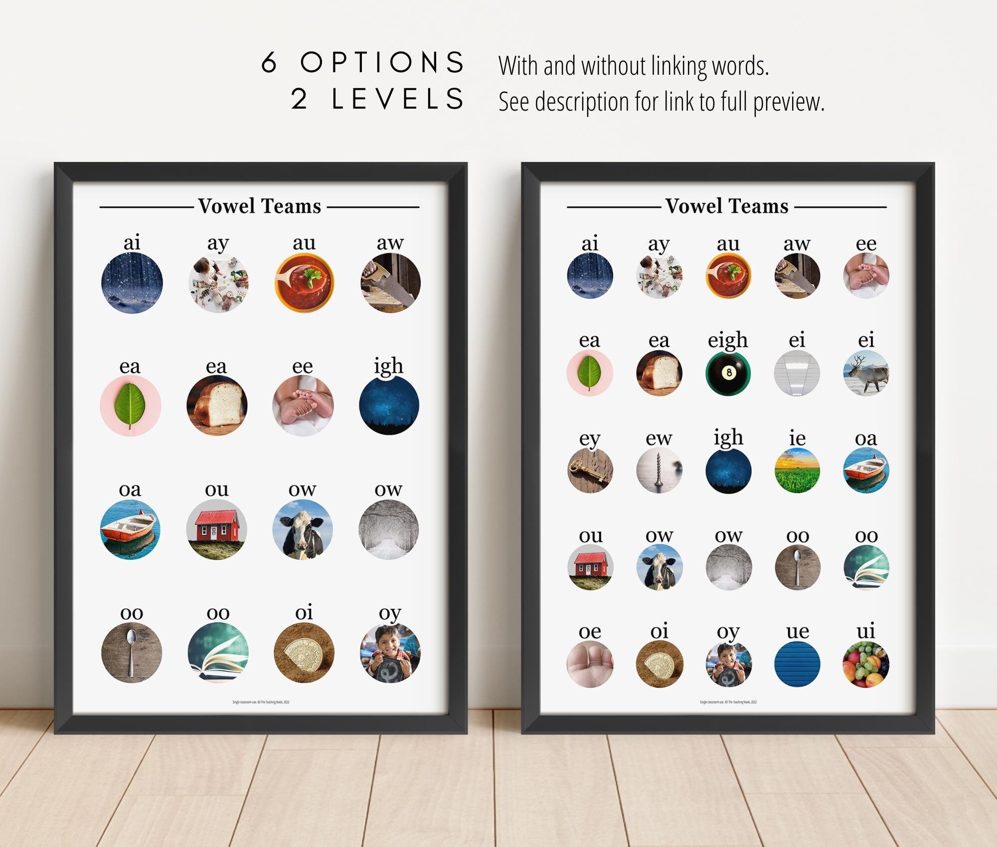 Phonics Chart Pack (alphabet, Digraphs, Blends, Vowel Teams, R ...