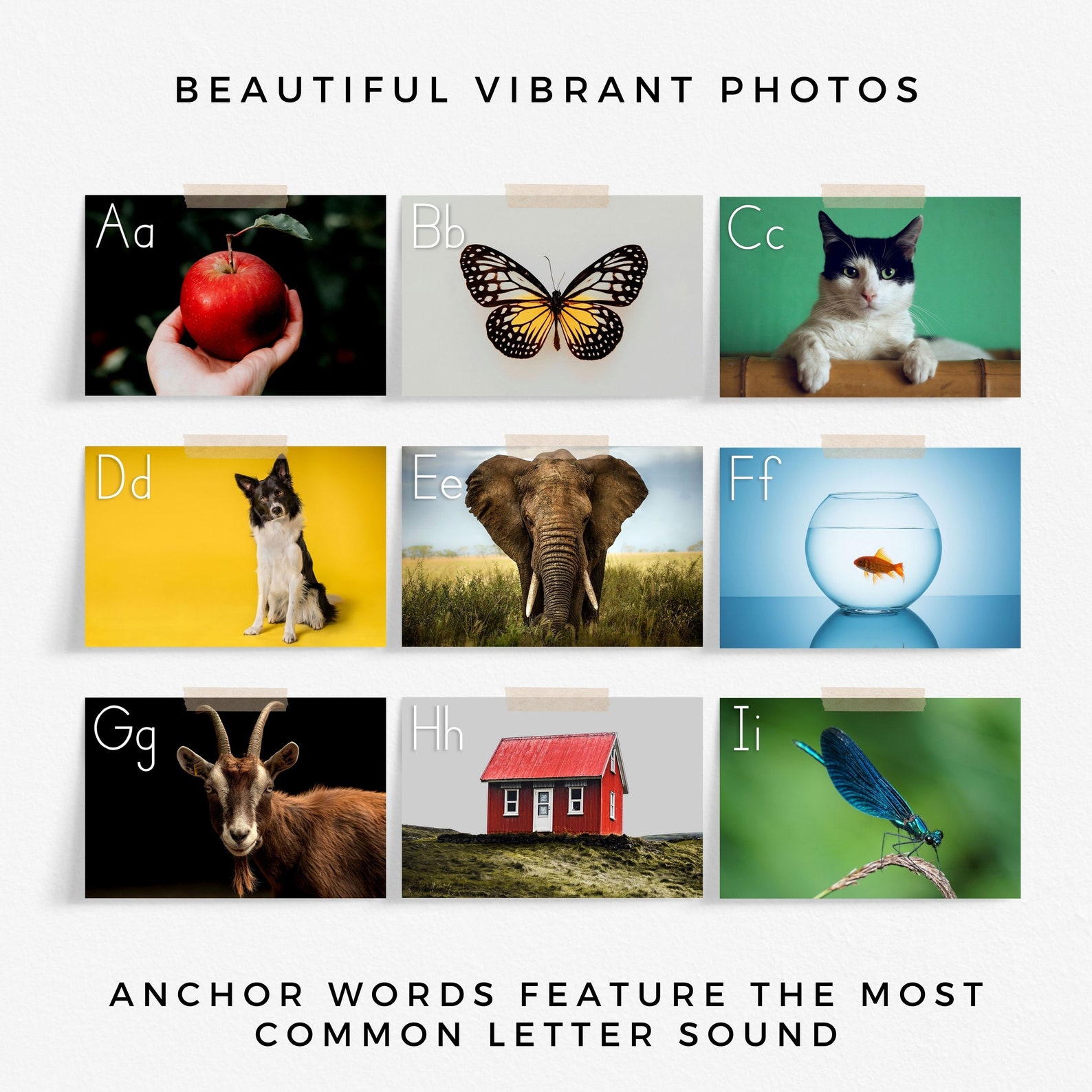 Manuscript Alphabet Photo Flashcards Printable ABC Letter Cards Reading ...