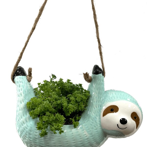 Hanging Sloth Planter - Etsy