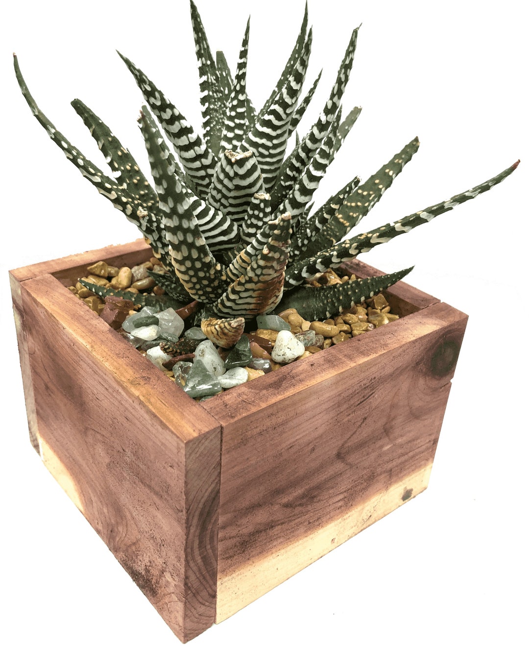 Cedar Box - Etsy