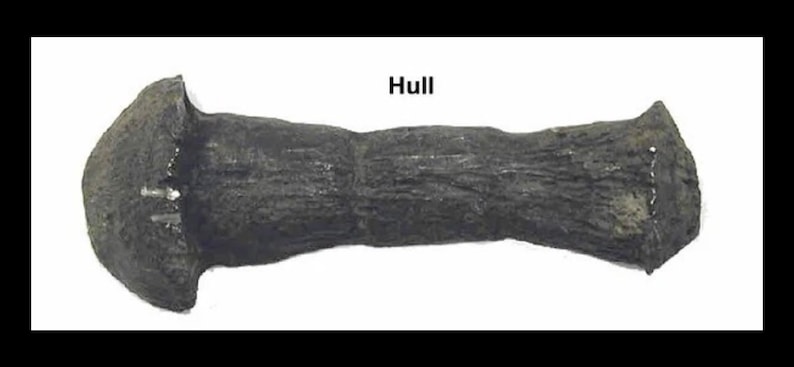 RMS Titanic Recovered Rivet Replica - Etsy Canada