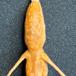 8 Inch Marcus the Worm Figurine - Etsy