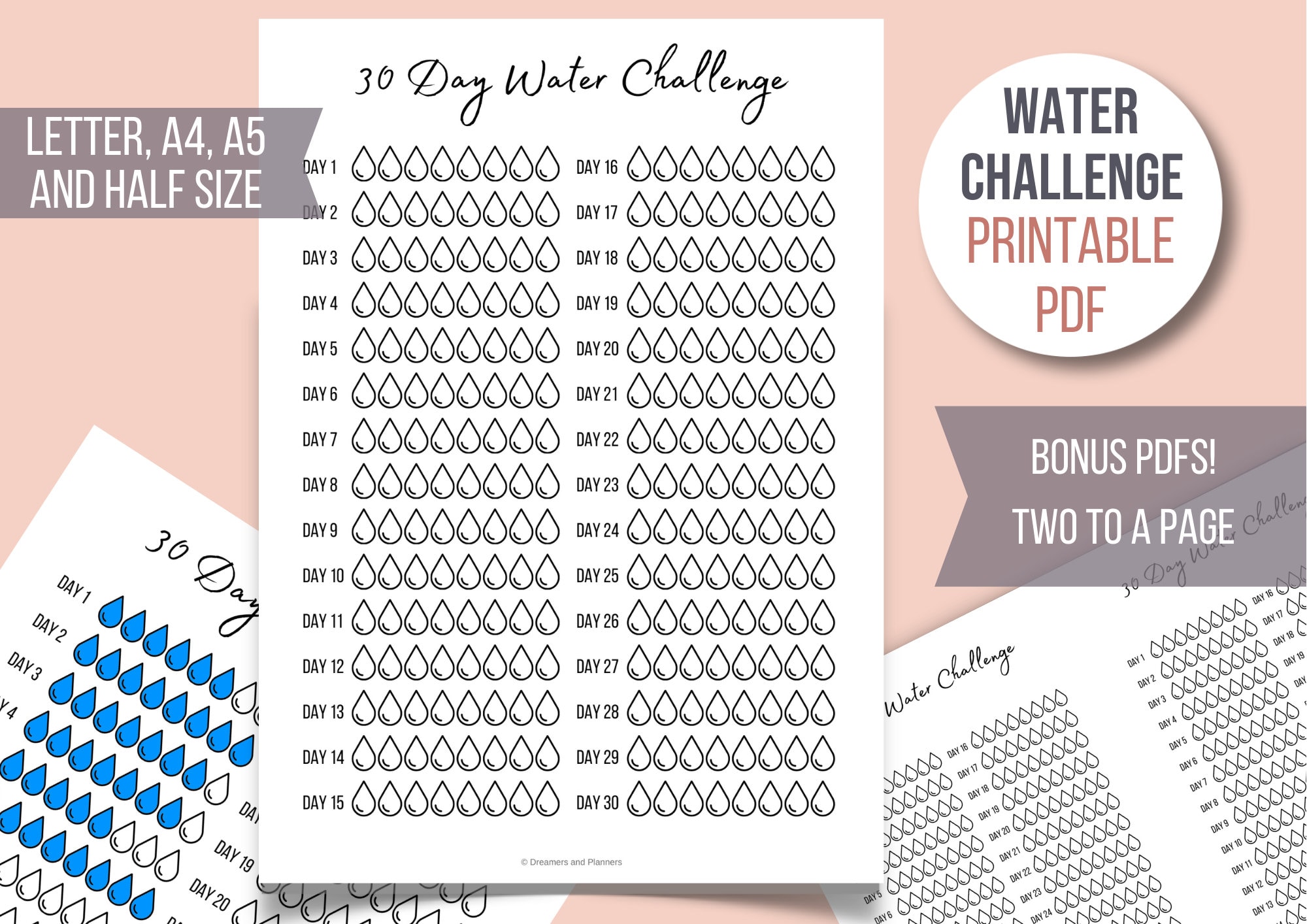 WATER CHALLENGE Printable Habit Tracker Hydration Tracker Bullet ...
