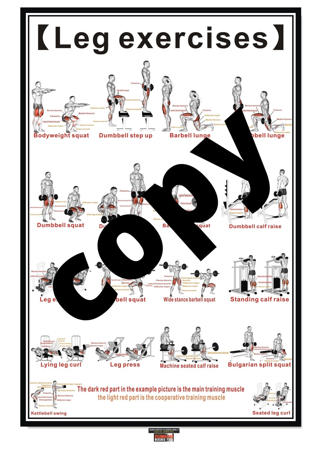 Exercise Chart LEG Exercises Digital Download Gym (Instant Download) - Etsy