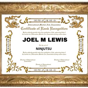 Martial Arts Certificate Ideal Mens Gift Present Rank Sensei Master ...