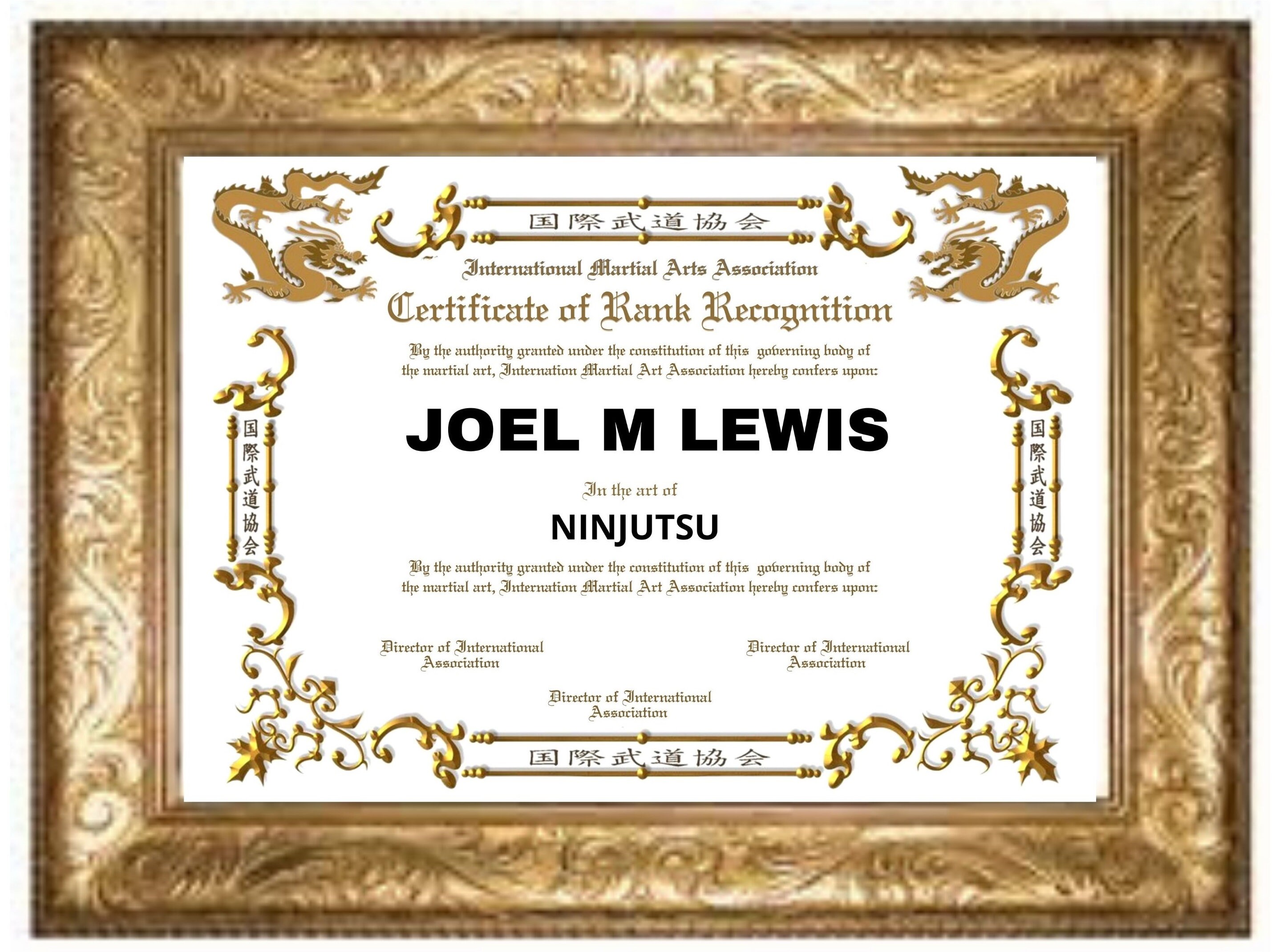 Martial Arts Certificate Ideal Mens Gift Present Rank Sensei Master ...