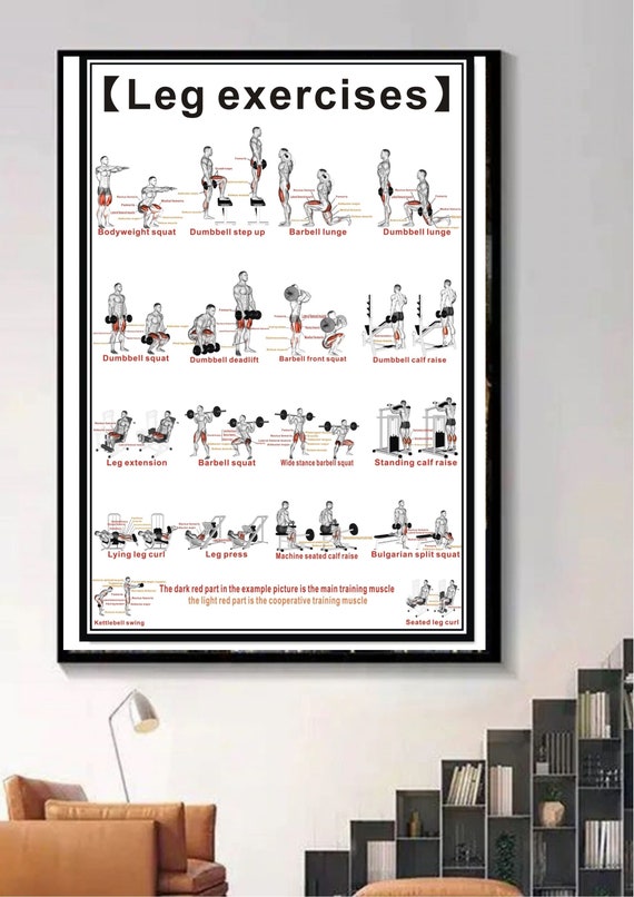 Multi Gym Workout Chart Download