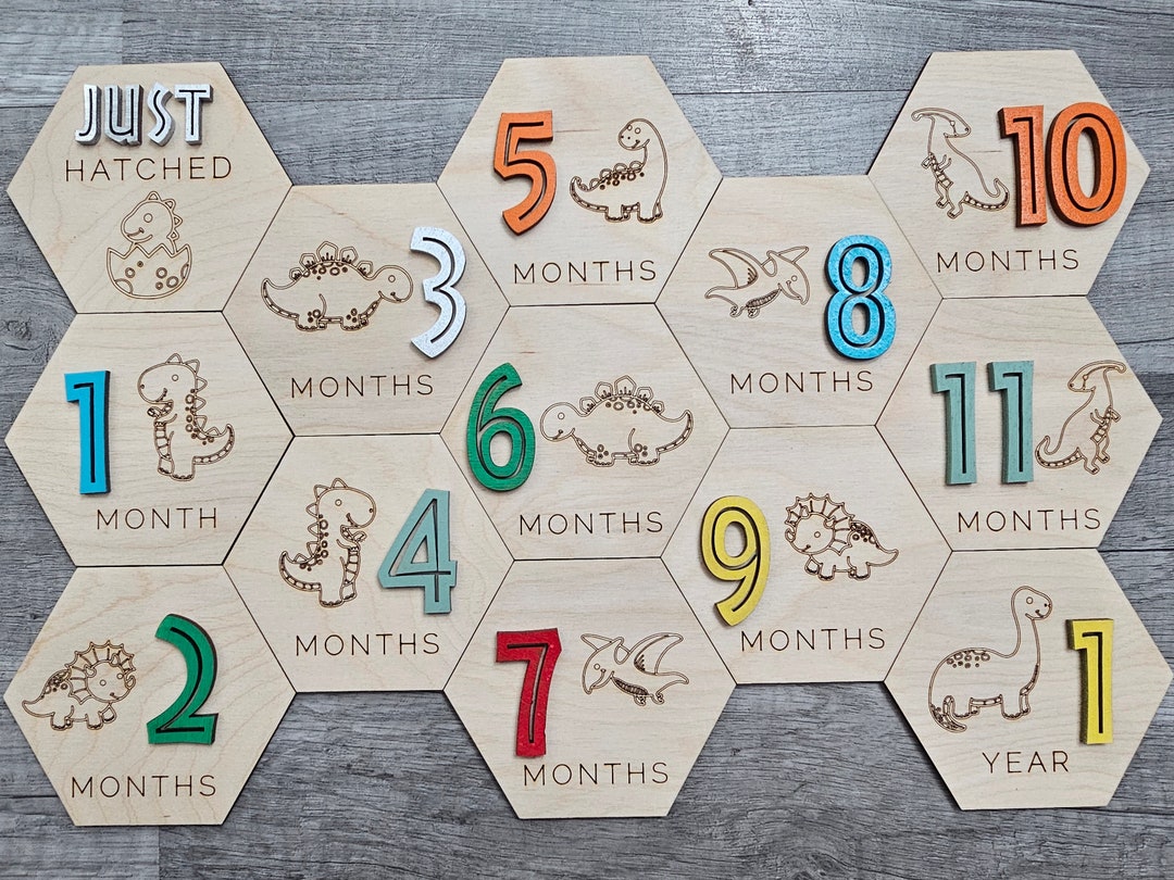 Dinosaur Baby Milestone Marker: Wooden Monthly Photo Prop - Etsy