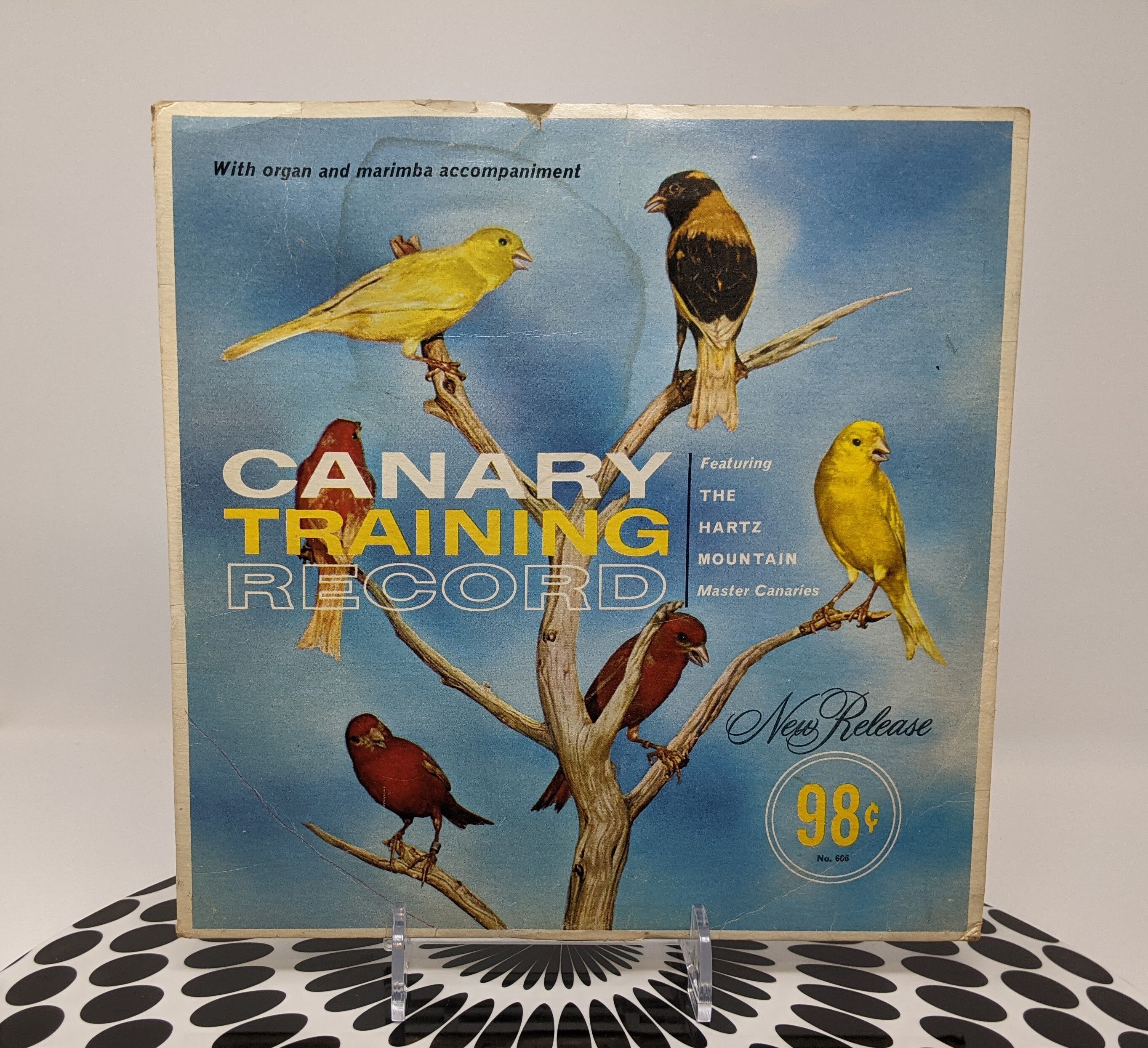 FOR THE BIRDS A 10 78 Rpm Record Called canary - Etsy Canada