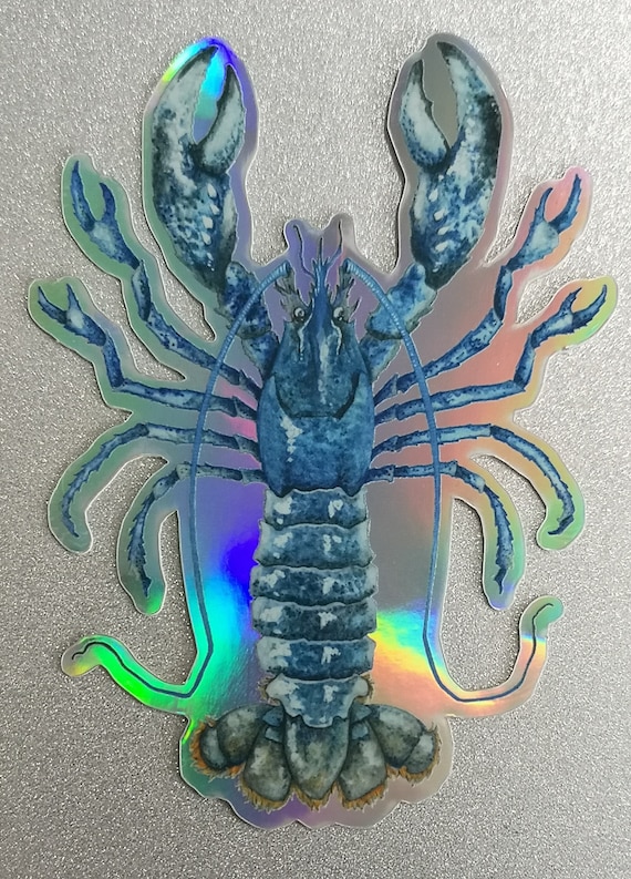 Lobster Sticker Vinyl Die-cut Transparent Background - Etsy