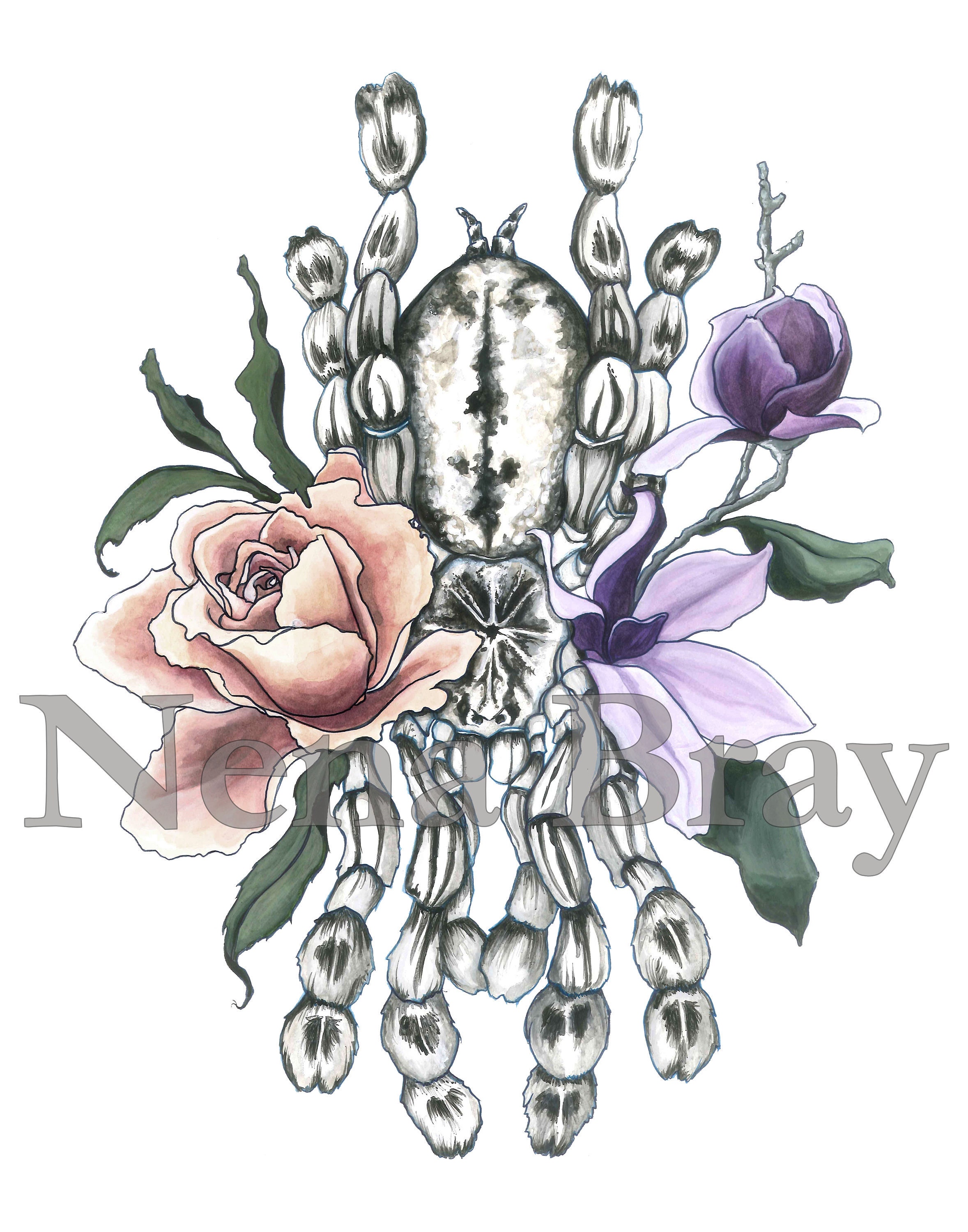 11x14 Art Print Tarantula & Flowers Heteroscodra | Etsy