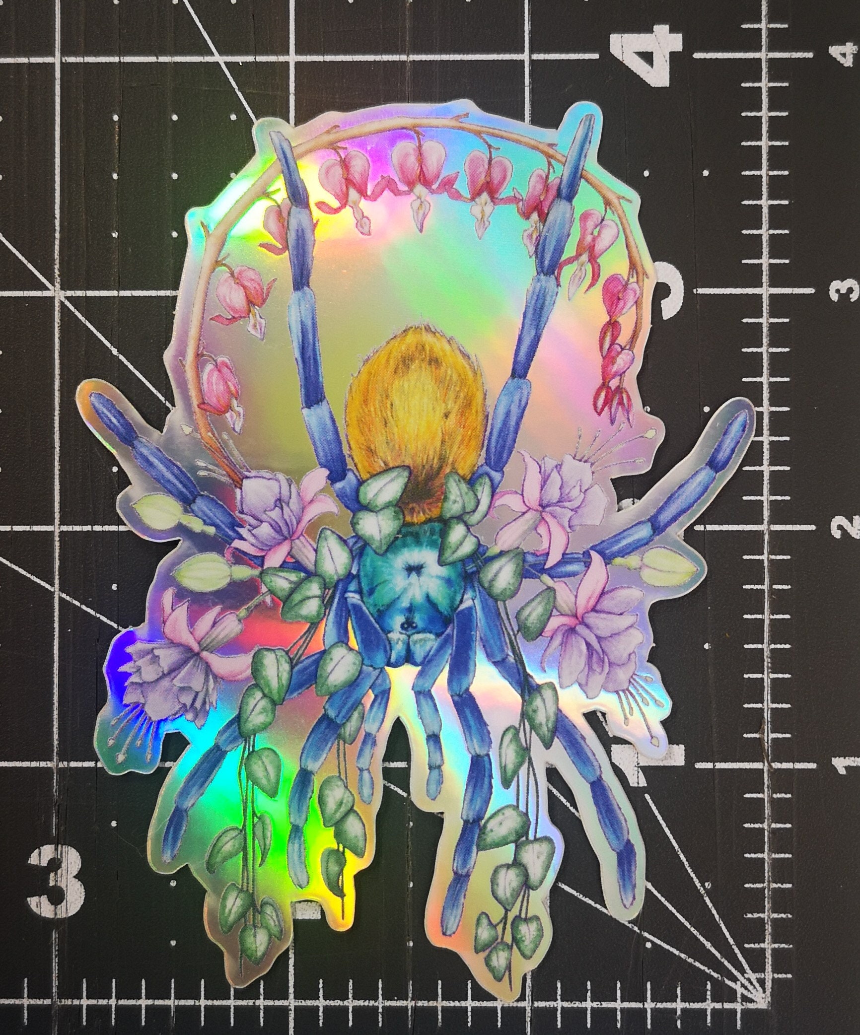 Tarantula Sticker Vinyl Die-cut Transparent Background - Etsy