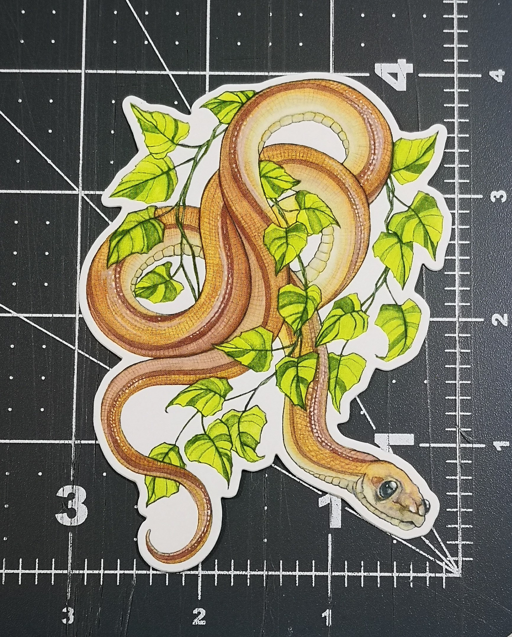 Corn Snake Sticker Vinyl Die-cut White Background Reptile | Etsy