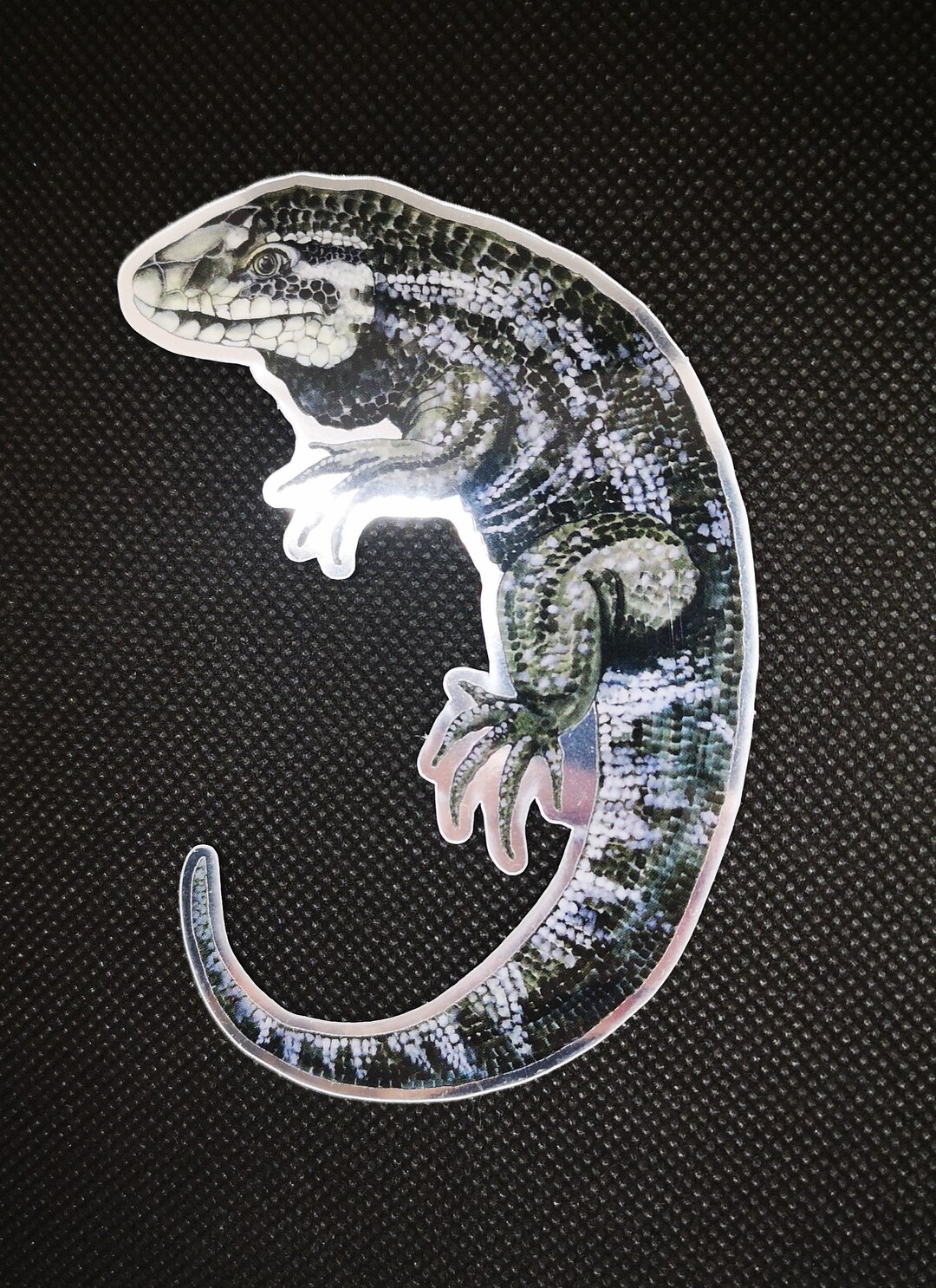 NEW* Tegu Sticker, Vinyl Die-cut, Mirror Vinyl Background, Reptile ...