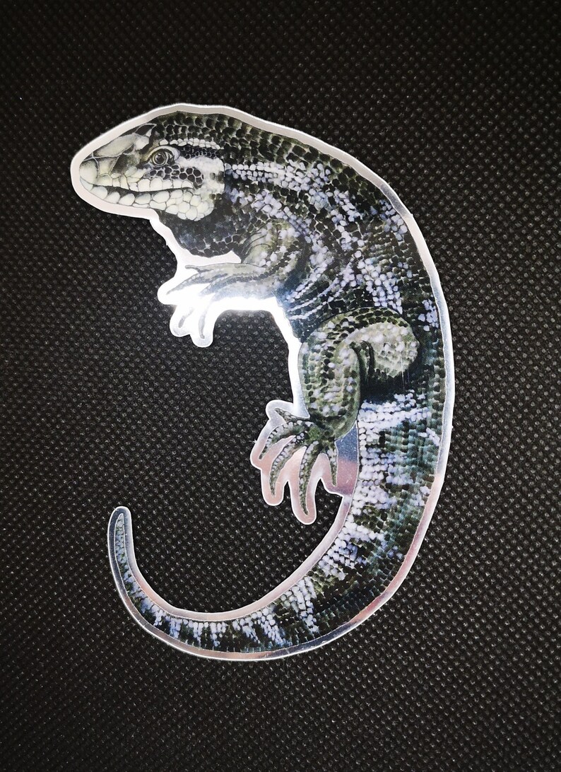NEW Tegu Sticker Vinyl Die-cut Mirror Vinyl Background - Etsy