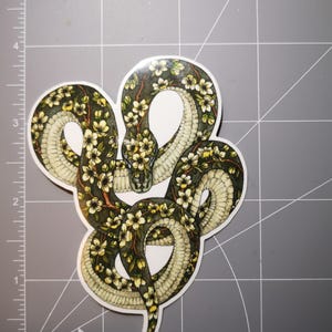 Ball Python Snake Sticker, Vinyl Die-cut, White or Chrome Background ...
