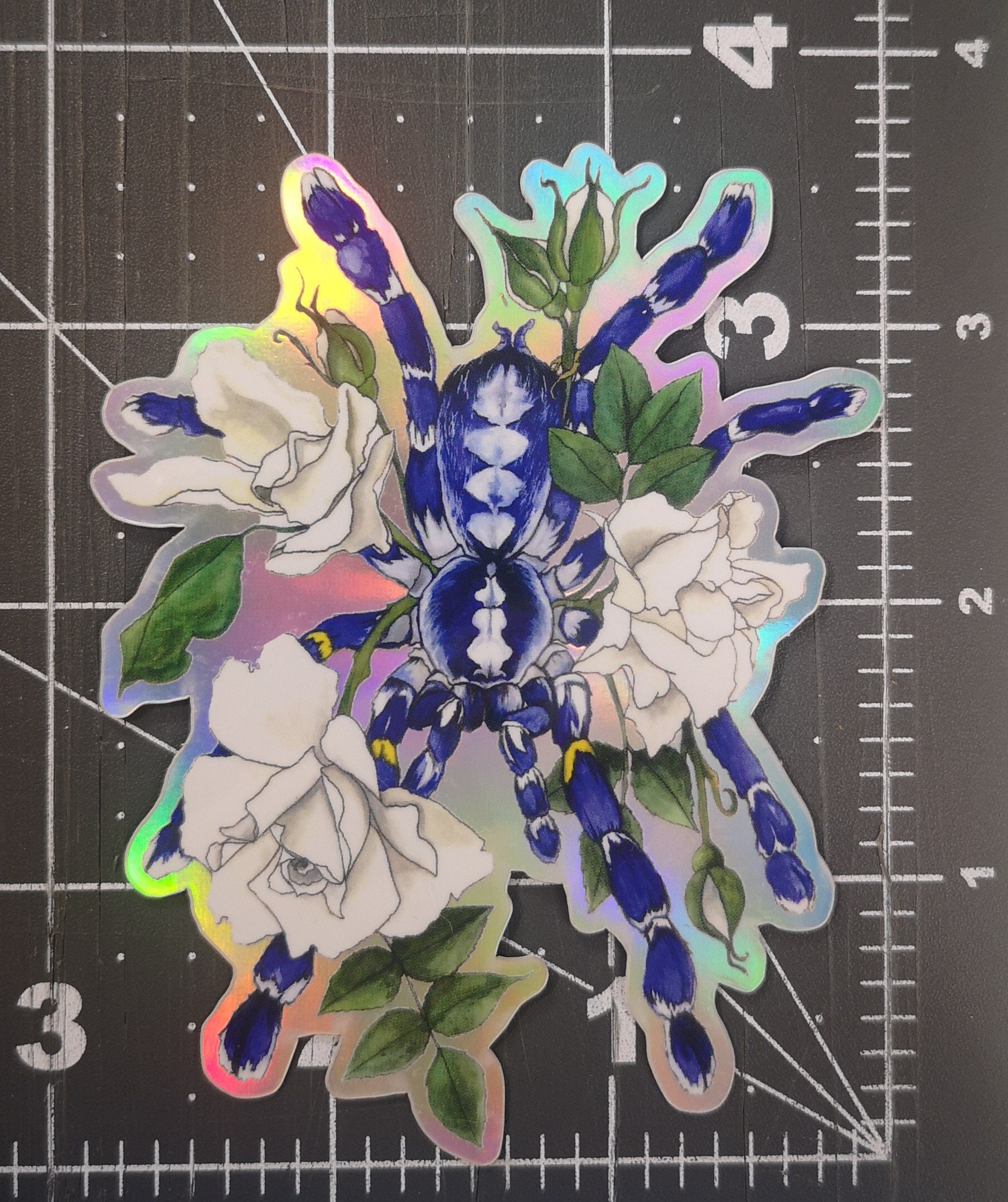 Tarantula Sticker Vinyl Die-cut Transparent Background - Etsy