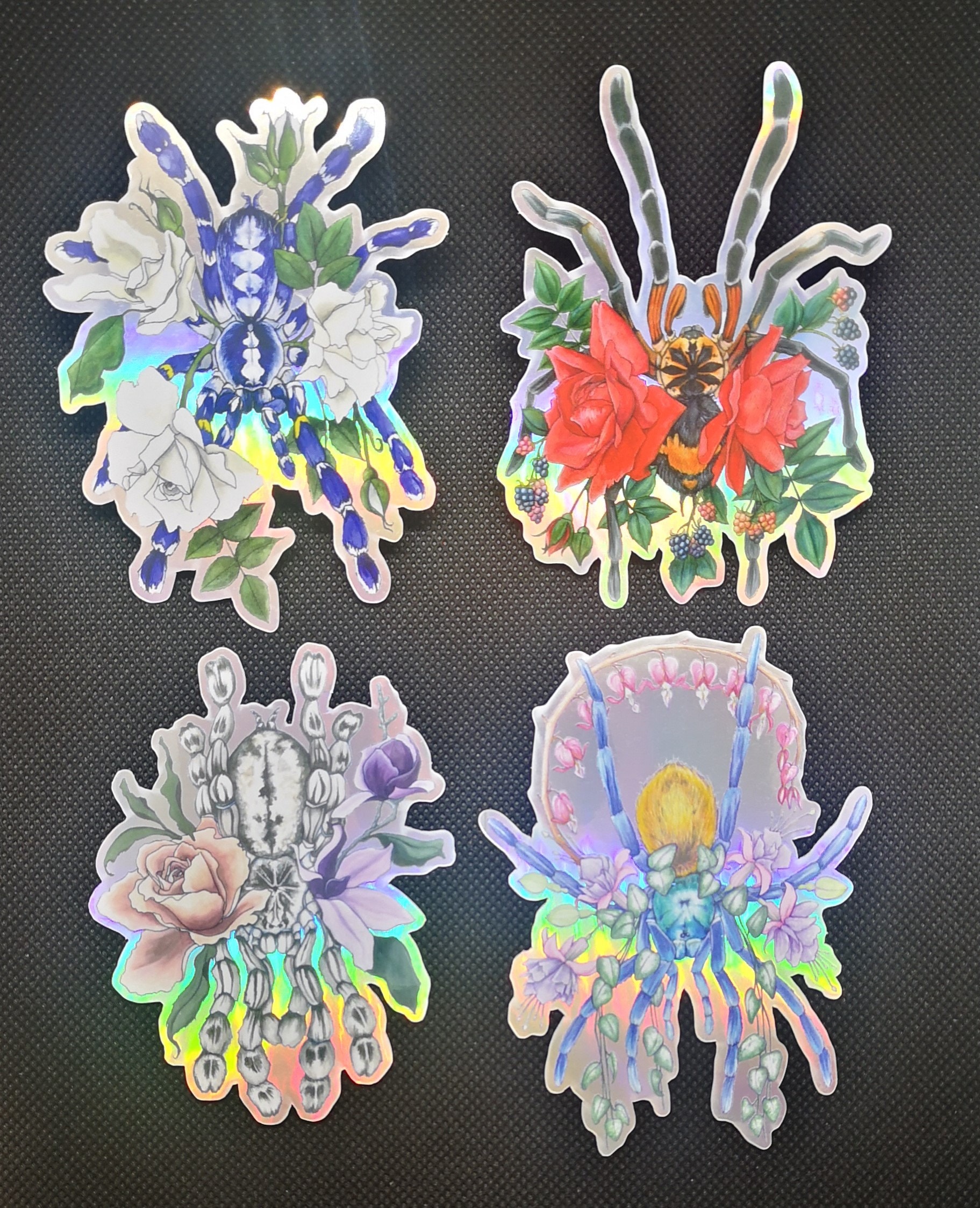 Tarantula Sticker Vinyl Die-cut Transparent Background - Etsy