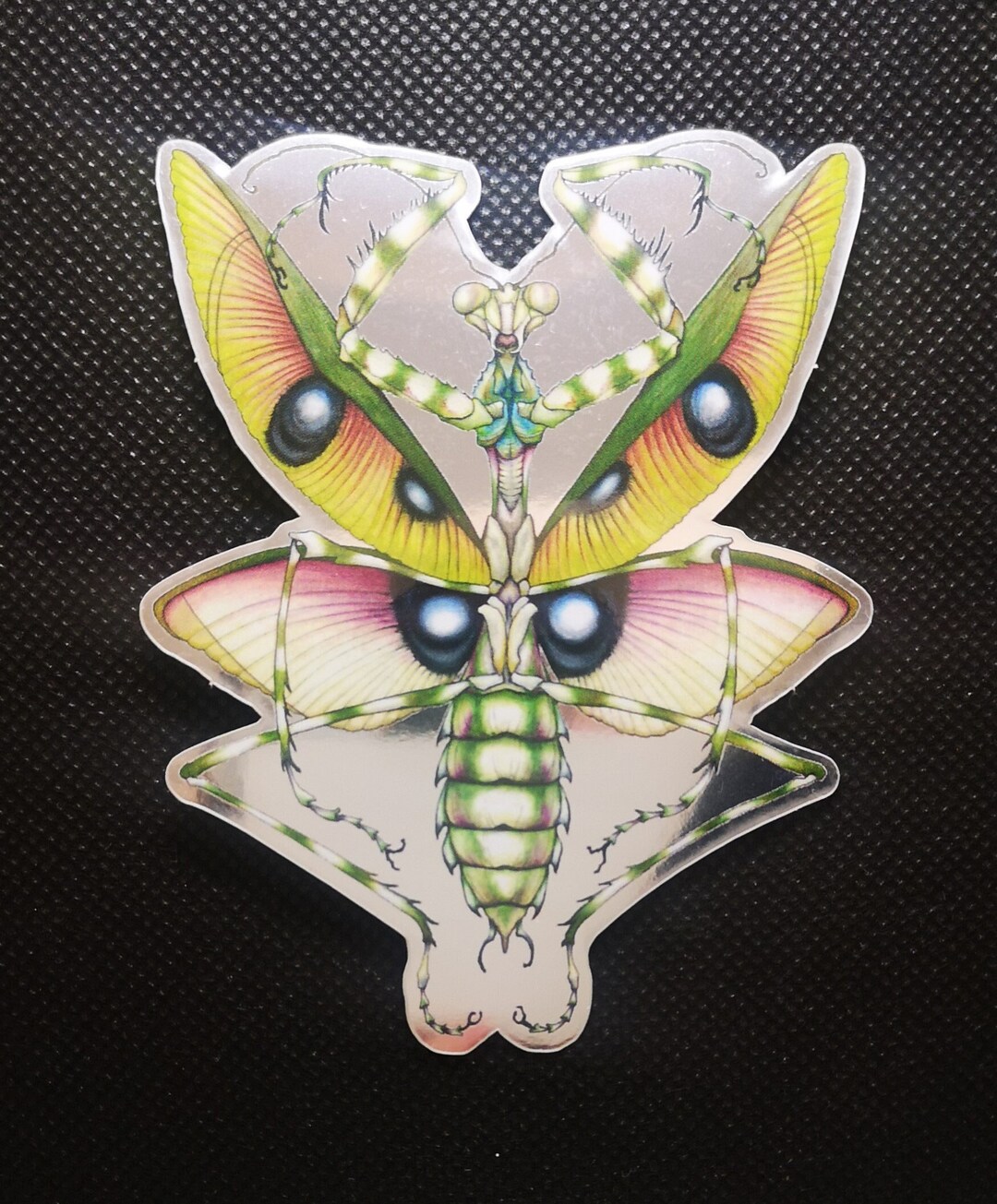 Spiney Flower Praying Mantis Sticker, Vinyl Die-cut, Bug, Insect ...