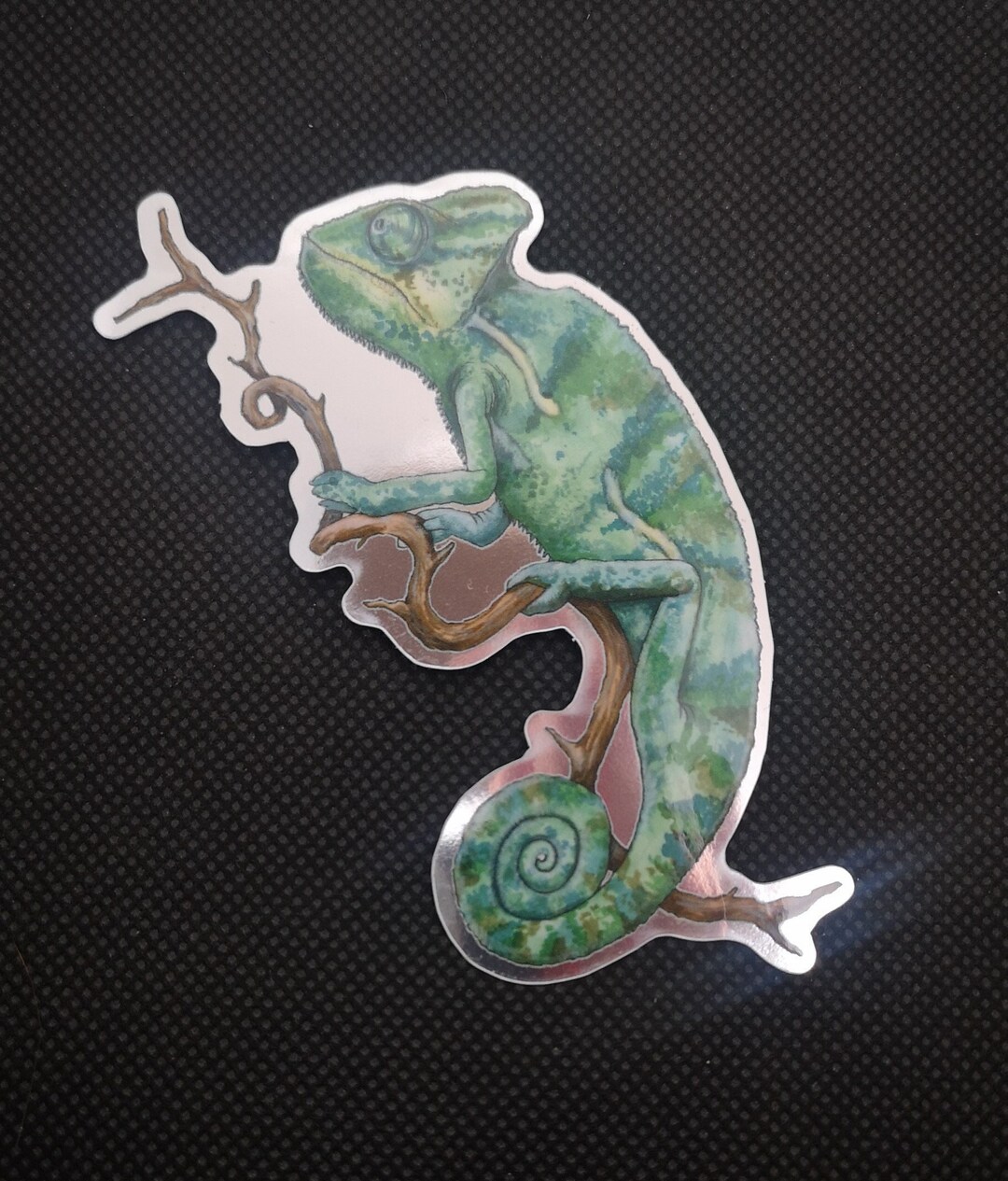 Chameleon Sticker, Vinyl Die-cut, Mirror Chrome Background, Shiny - Etsy