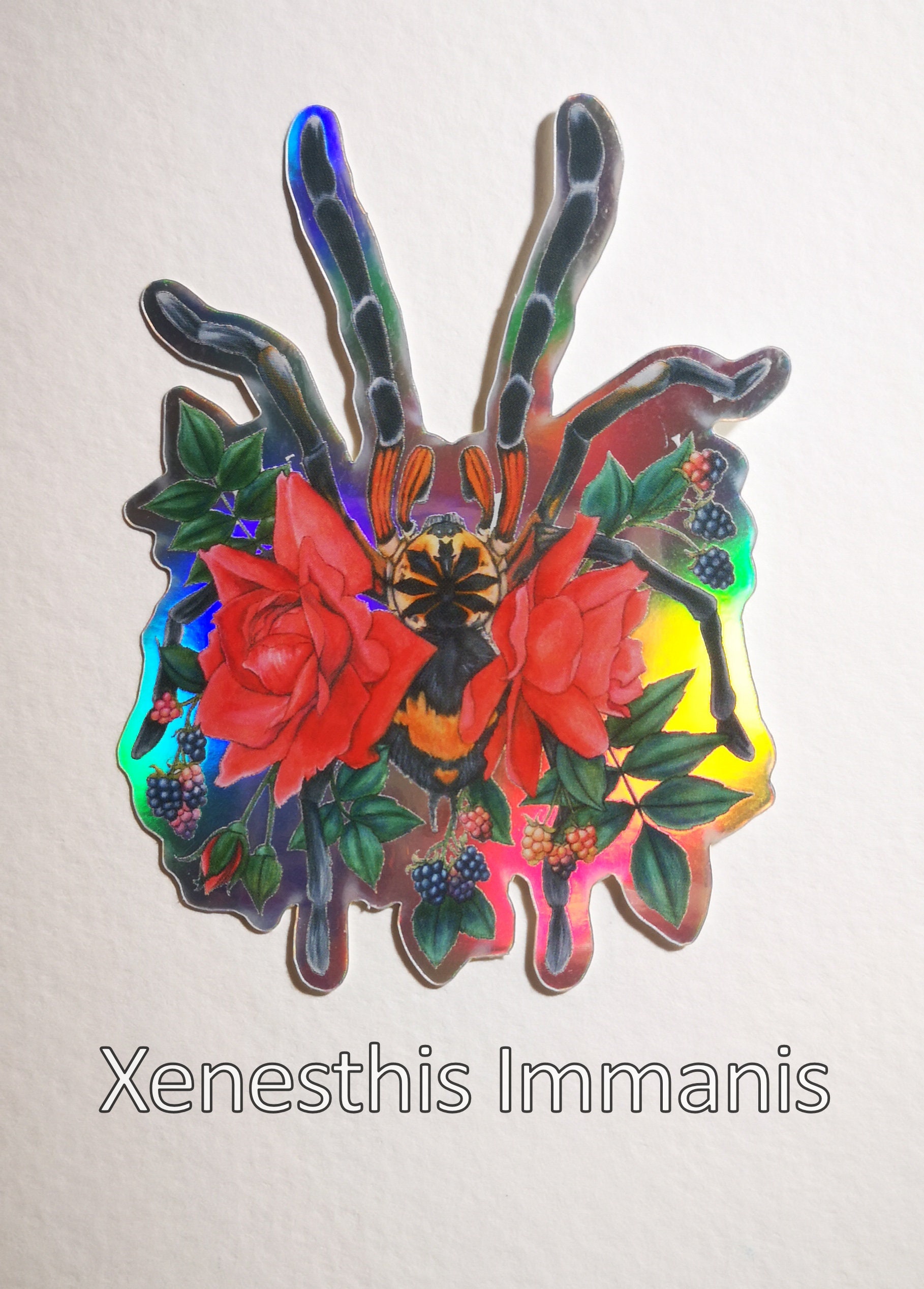 Tarantula Sticker Vinyl Die-cut Transparent Background - Etsy