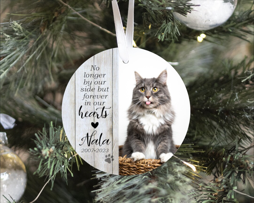 Pet Memorial Ornament * Cat Photo Memorial Gift * Pet Loss Memorial ...