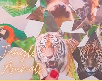 Vipkid Reward System | Etsy