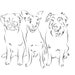Christmas Gift Custom Line Drawing Pet Dog Portraitline - Etsy