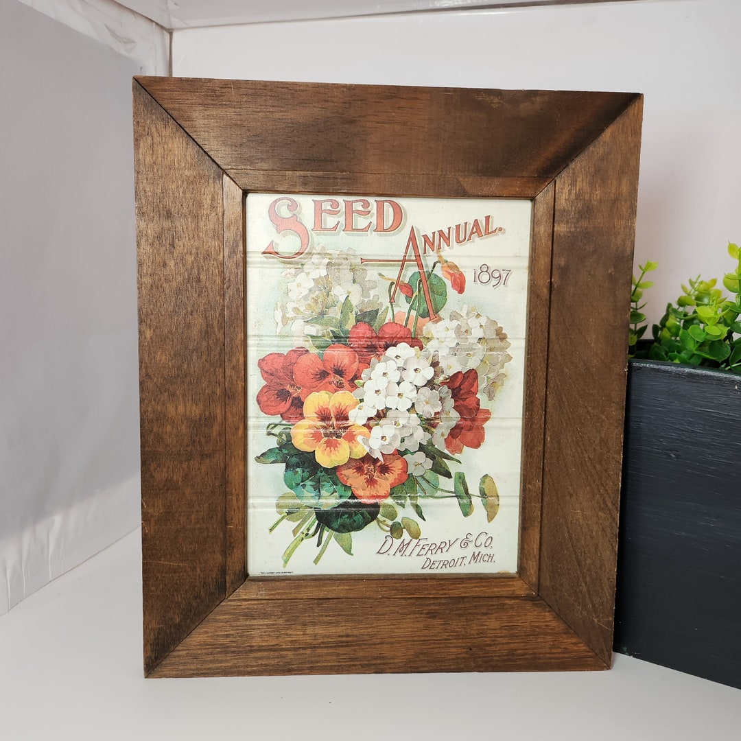 Vintage Floral Seed Advertisement: Framed Wall Decor - Etsy