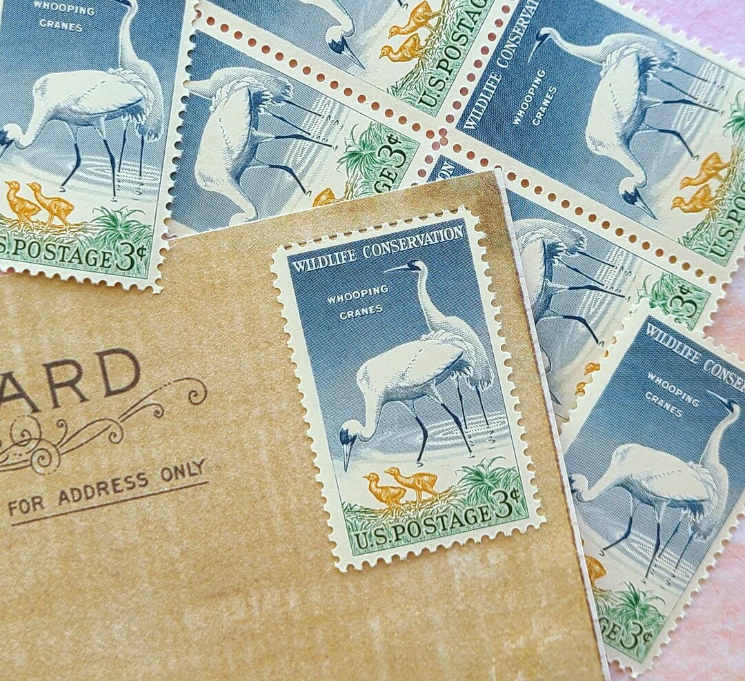 20 to 100 Unused Whooping Cranes 3-cents U.S. Postage Stamps. Nature ...