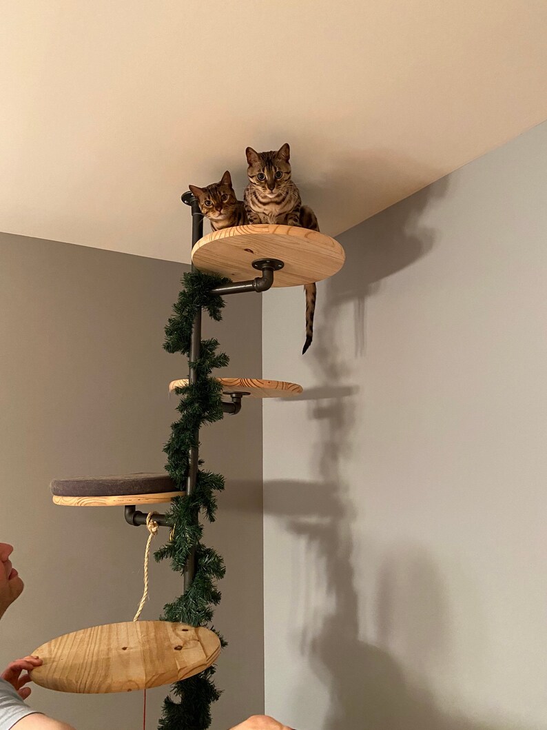 Floor To Ceiling Cat Tree Etsy