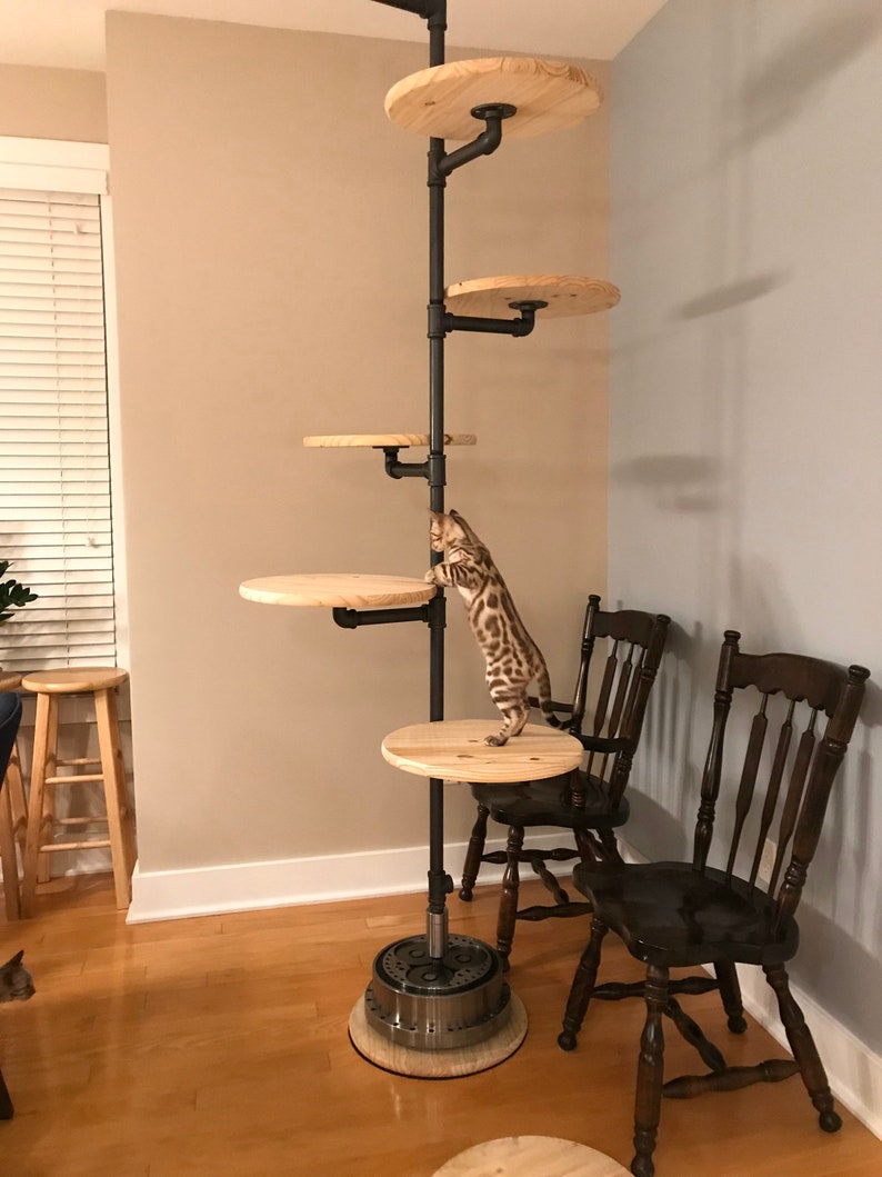 Floor To Ceiling Cat Tree Etsy