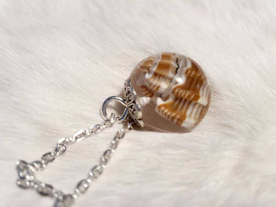 Jewelry MOONSHELL Chain Pendant Ball Shell Gift Nature - Etsy