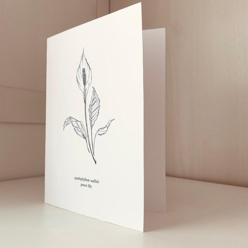 Printable Peace Lily Greeting Card, Botanical Illustration, Simple ...