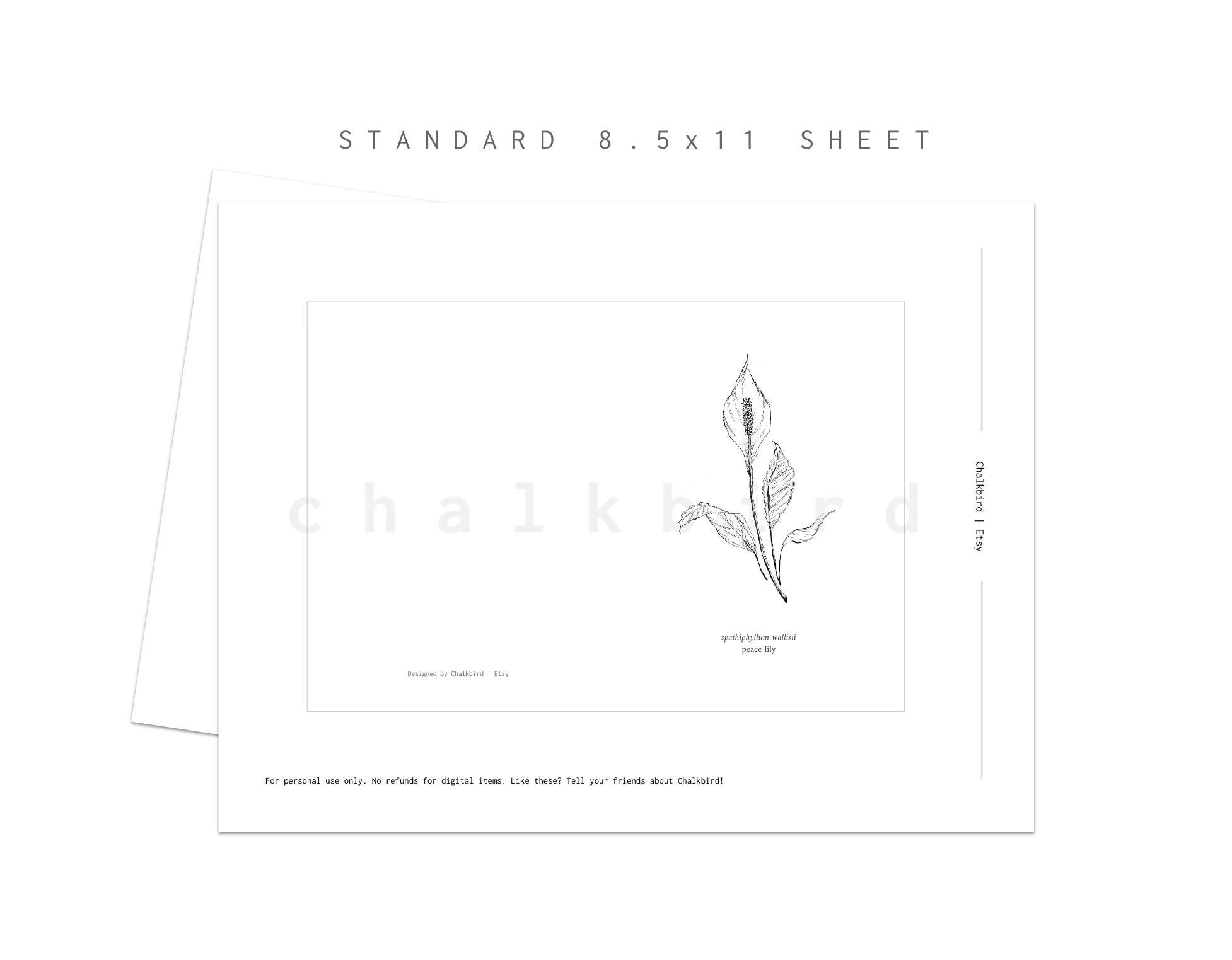 Printable Peace Lily Greeting Card, Botanical Illustration, Simple ...