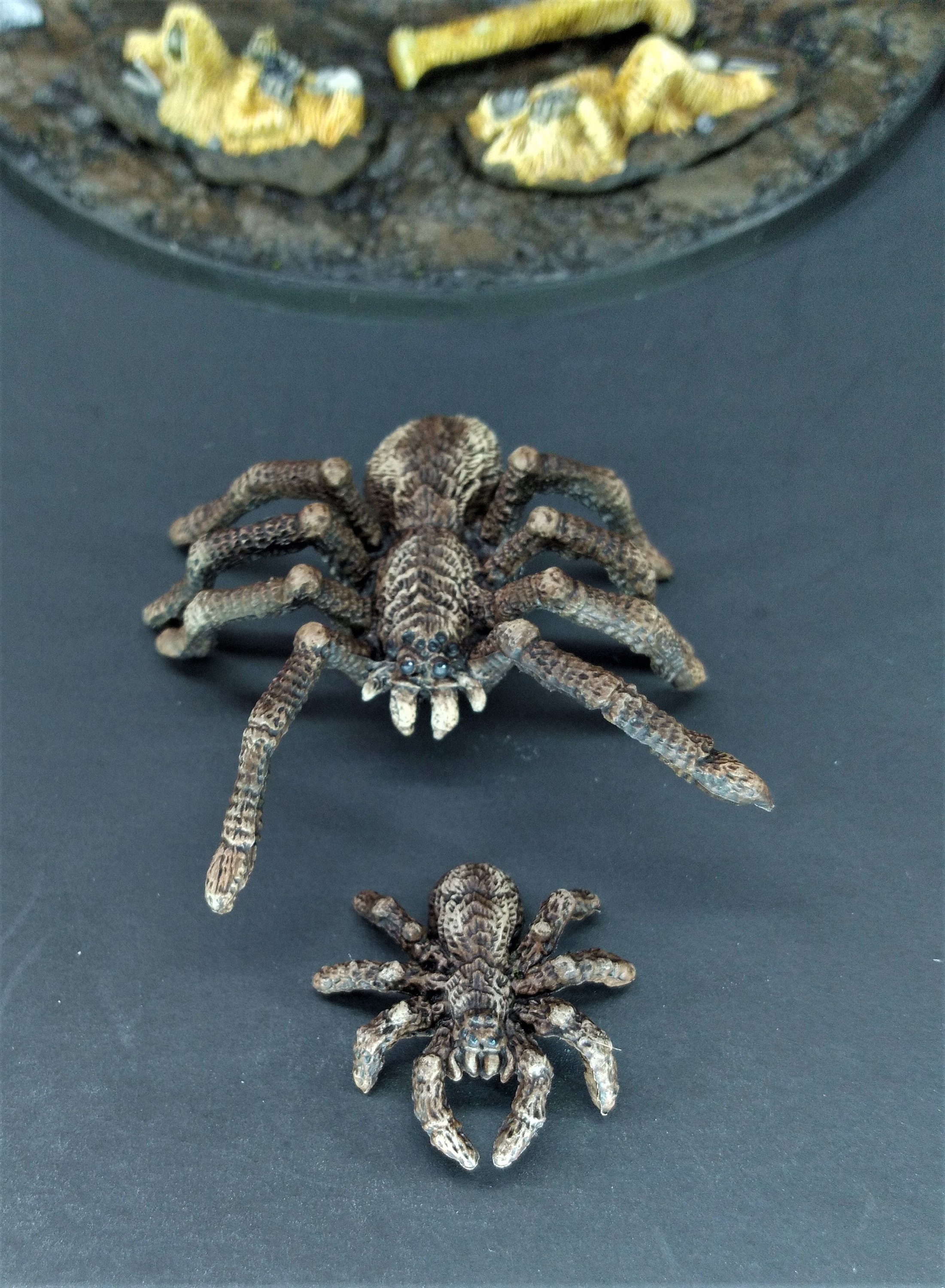Reaper Bones 5 the Spiders of Emrith Kul Unreleased Miniature - Etsy