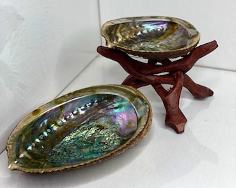 Large Abalone Shell With Stand - Etsy