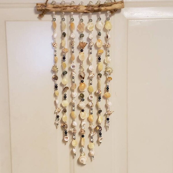 Shell Wall Decor - Etsy