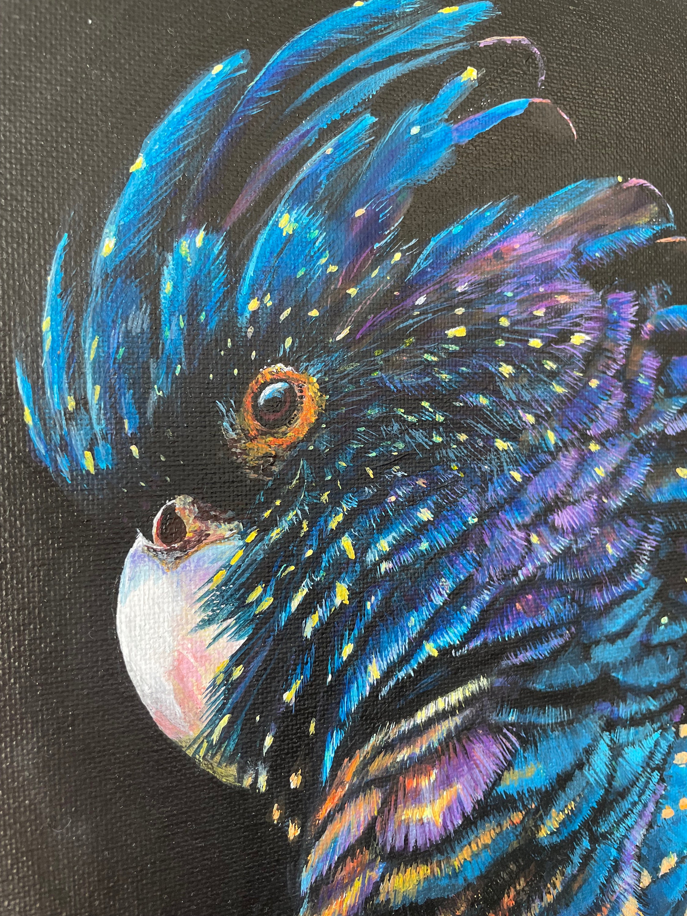 Original Acrylic Painting- Black Cockatoo - Etsy