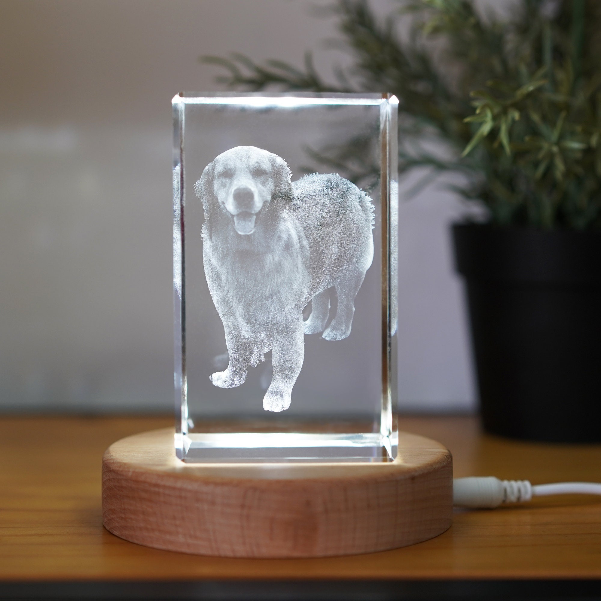 Custom 3D Crystal Photo Gift Personalized 3D Photo Engraved - Etsy