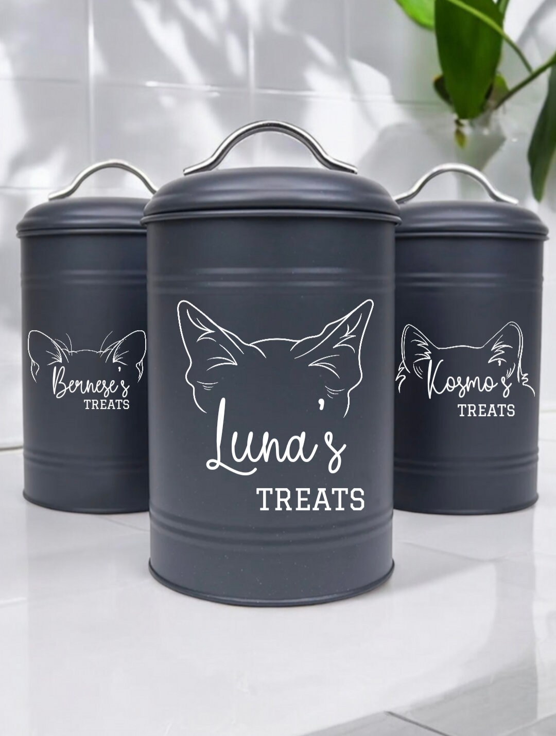 Personalized Cat Treat Container, Customizable Food Jar for Cats ...